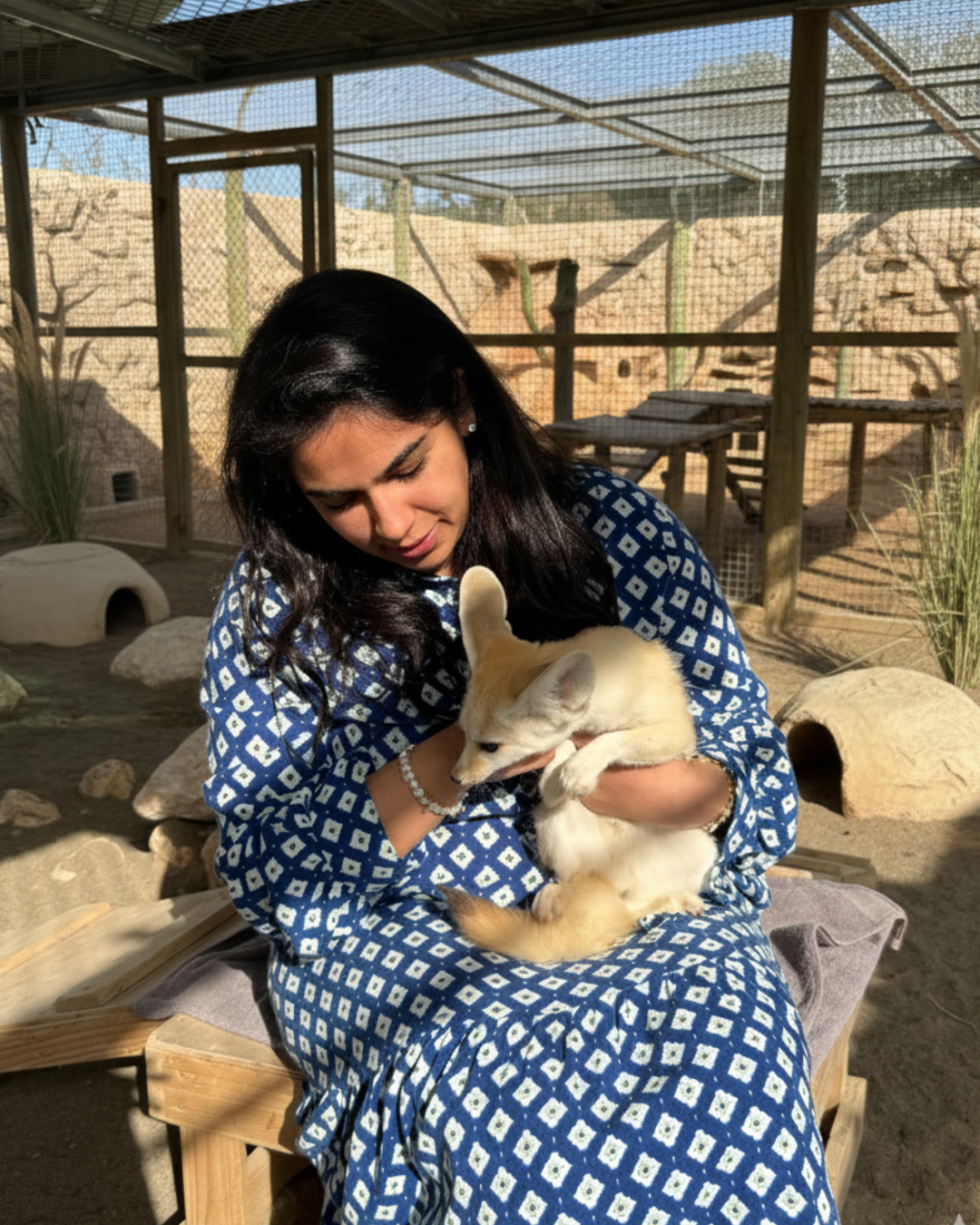 Jasminara Wild | Luxury Wildlife Retreat in Oman